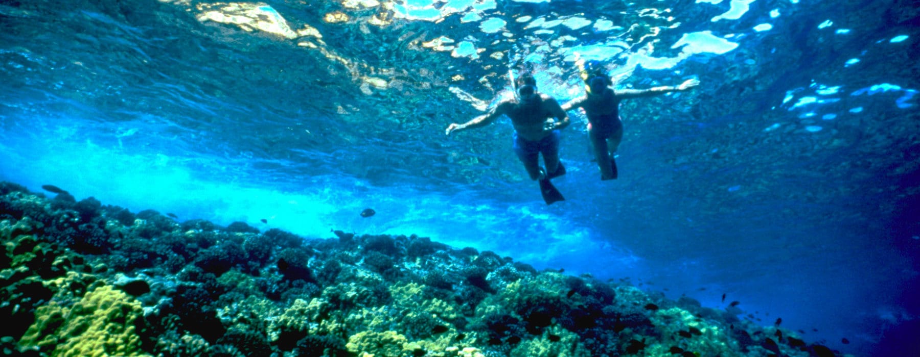 Activity Big Island - AA Oceanfront